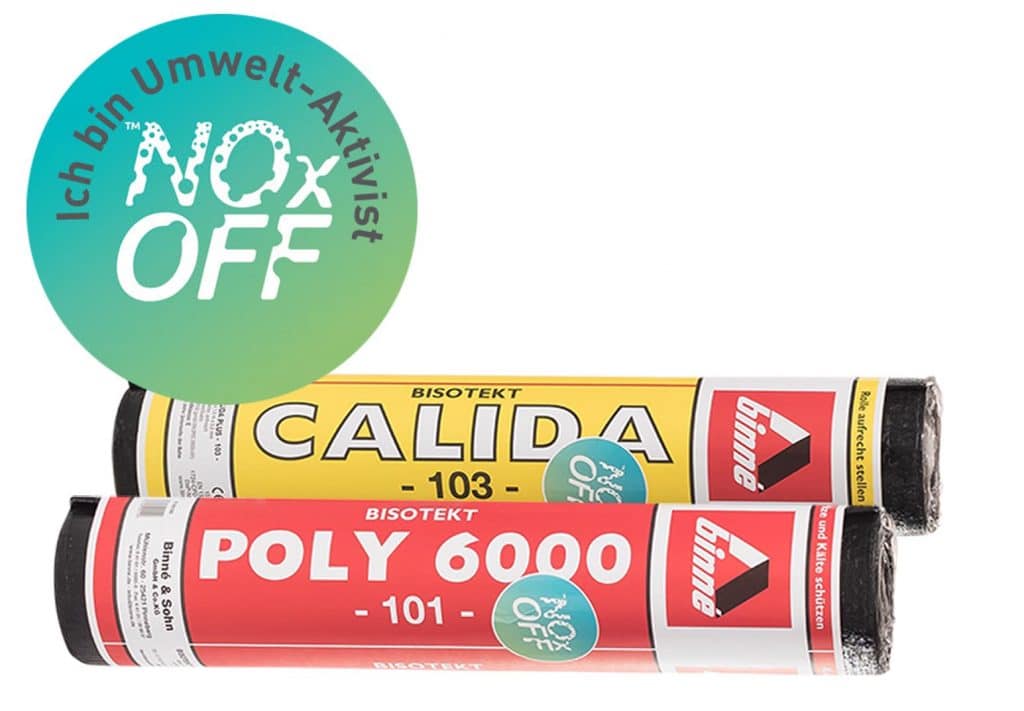 Binné – die Dachexperten